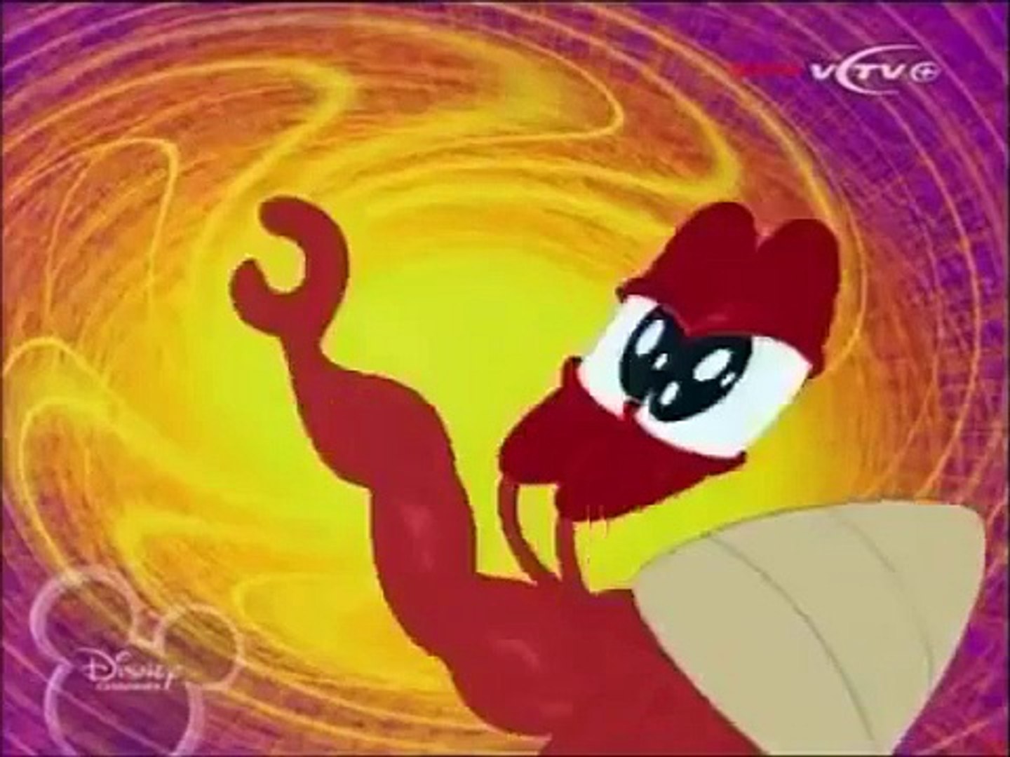 Musculo Zig E Sharko