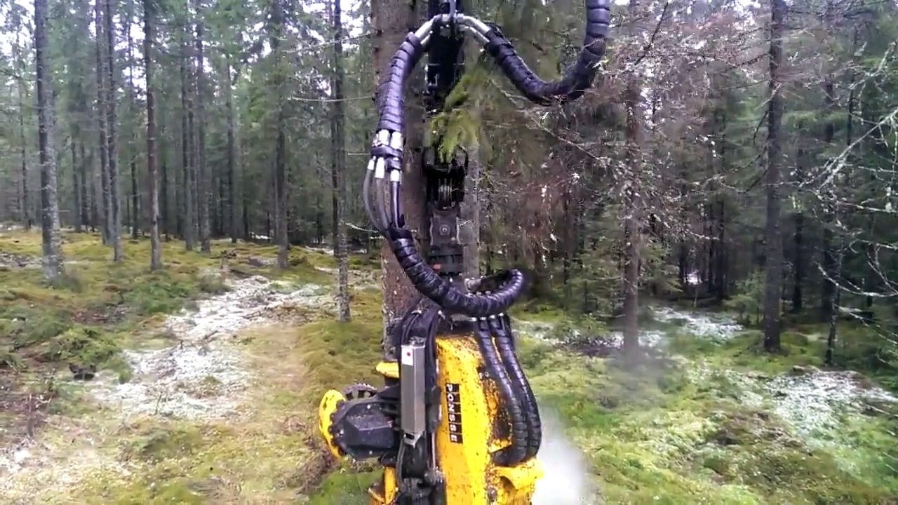 Incredible Tree Cutting Machine - video Dailymotion