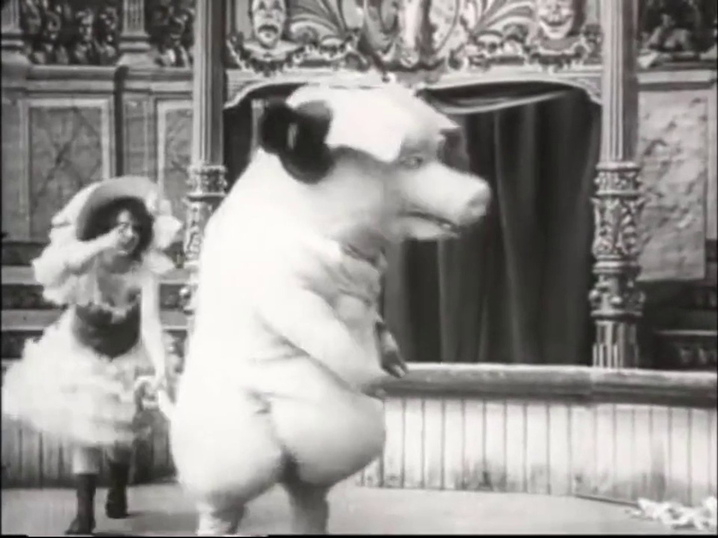 Dancing Pig 1907