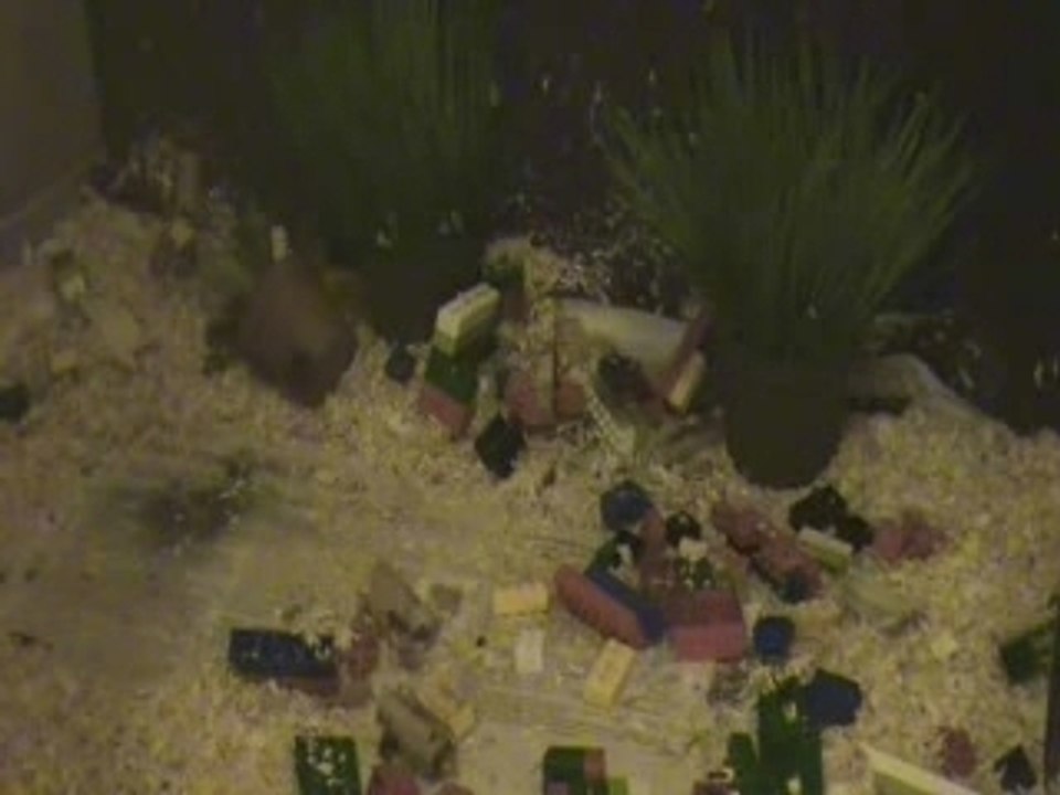 Hamster in a exploding house - video Dailymotion