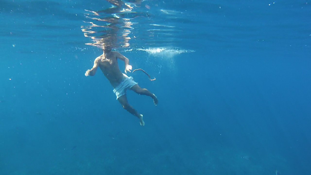 Des poissons mangent le caca d'un nageur - Vidéo Dailymotion