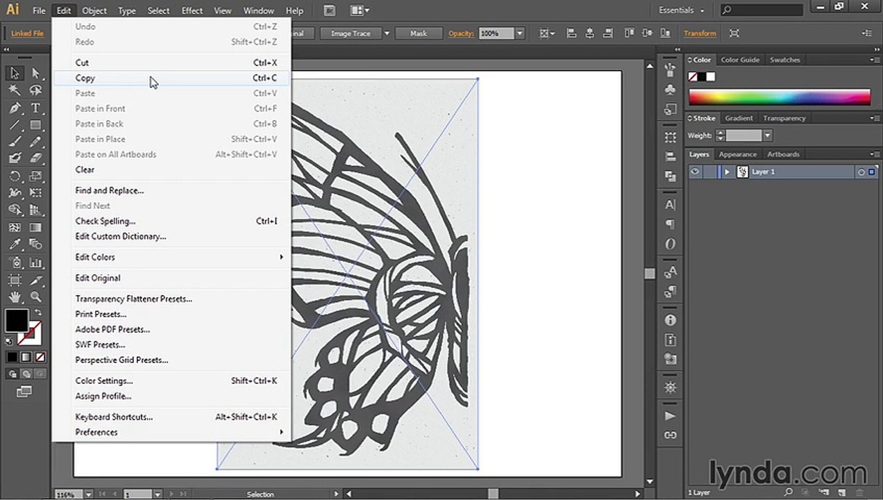 Auto-tracing and resolution _ Learn Illustrator CC _ Adobe TV - video ...