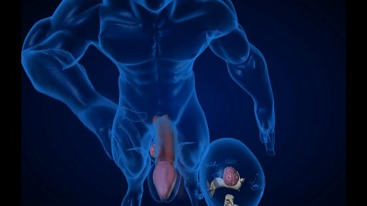 Une bonne bifle cherie - Vidéo Dailymotion