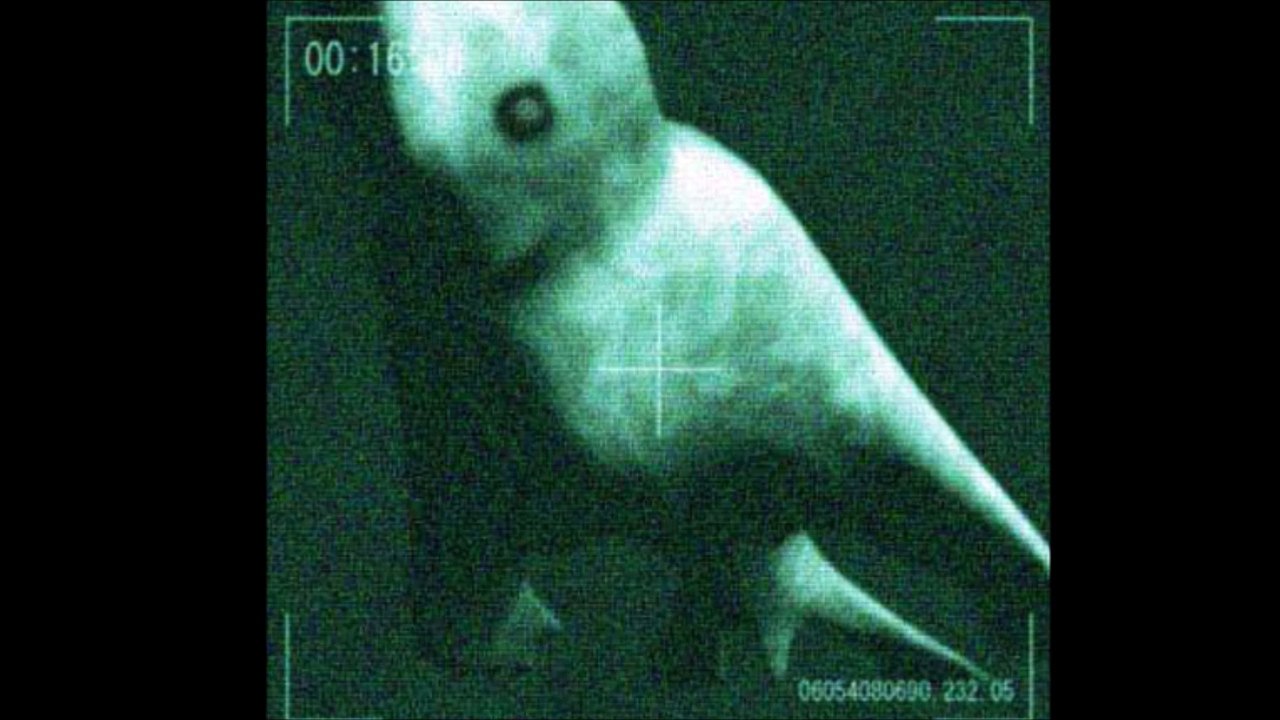 The Nigen - video Dailymotion