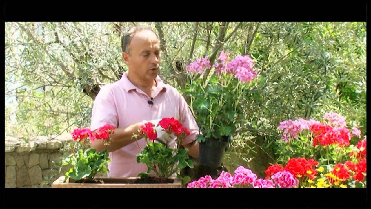 Kopështi Living Mullaga |Season 1|Episode 1 - video Dailymotion