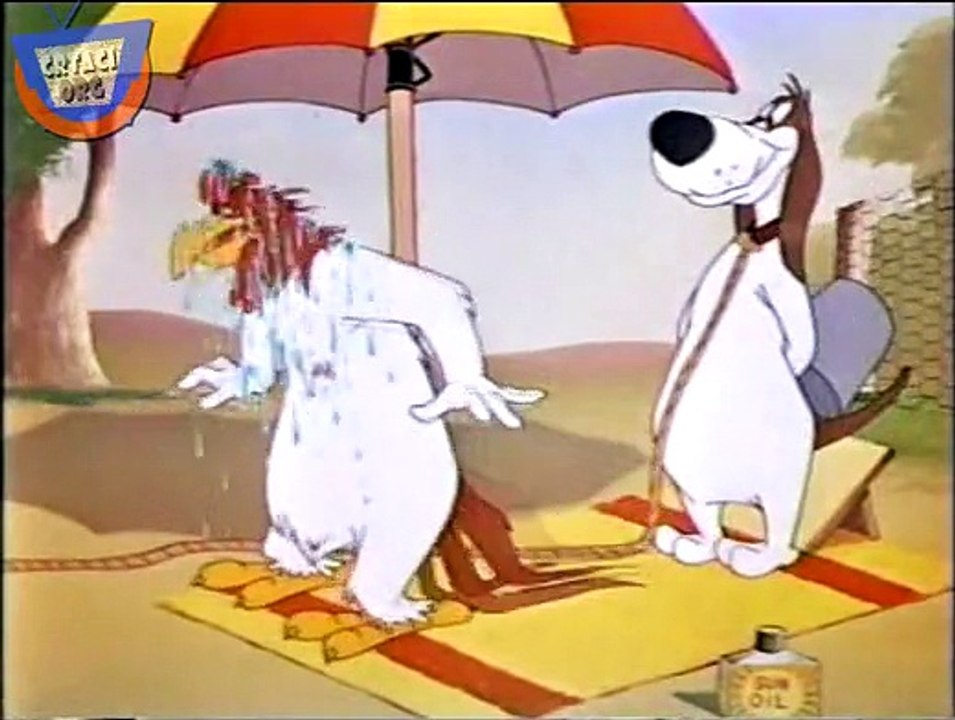 Pevac Sofronije - Srećan lov na muža (v1) - video Dailymotion