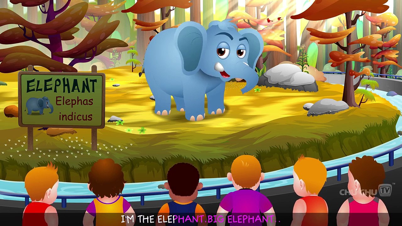 Finger Family Elephant ChuChu TV Animal Finger Family Songs & Nursery ...