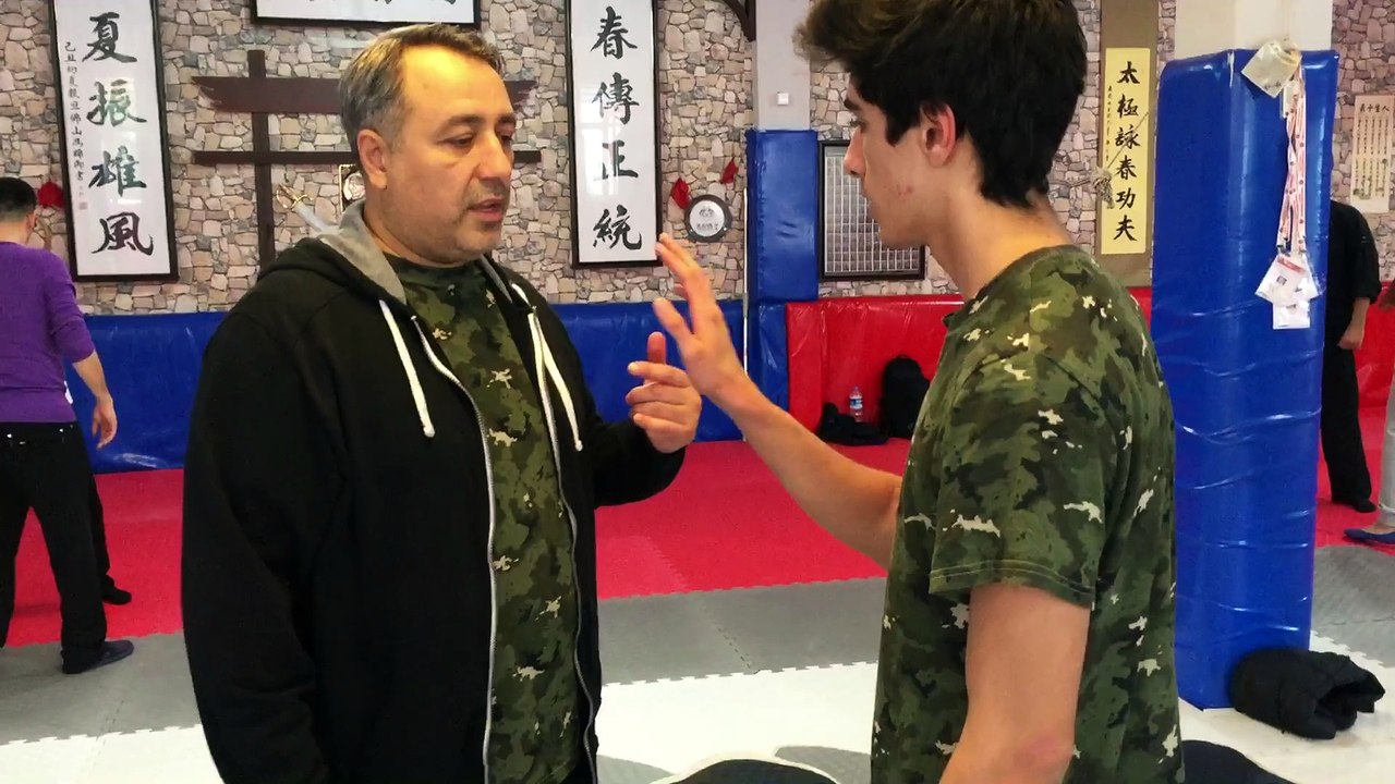 Instinct Combat Systems - Self Defense Applications 2 - video Dailymotion