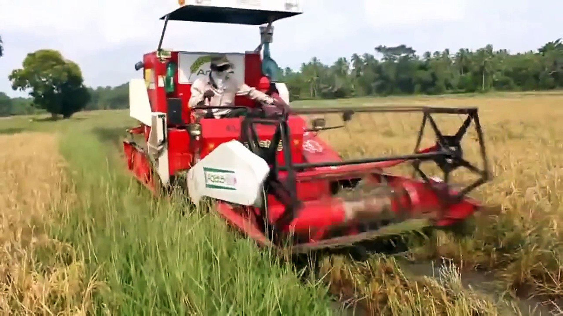 Rice Harvester Machine