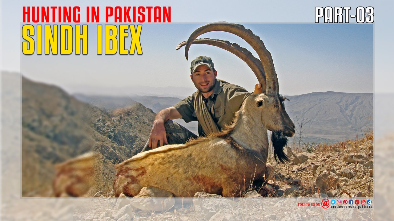 Sindh Ibex Hunting in Pakistan Part 03 - video Dailymotion