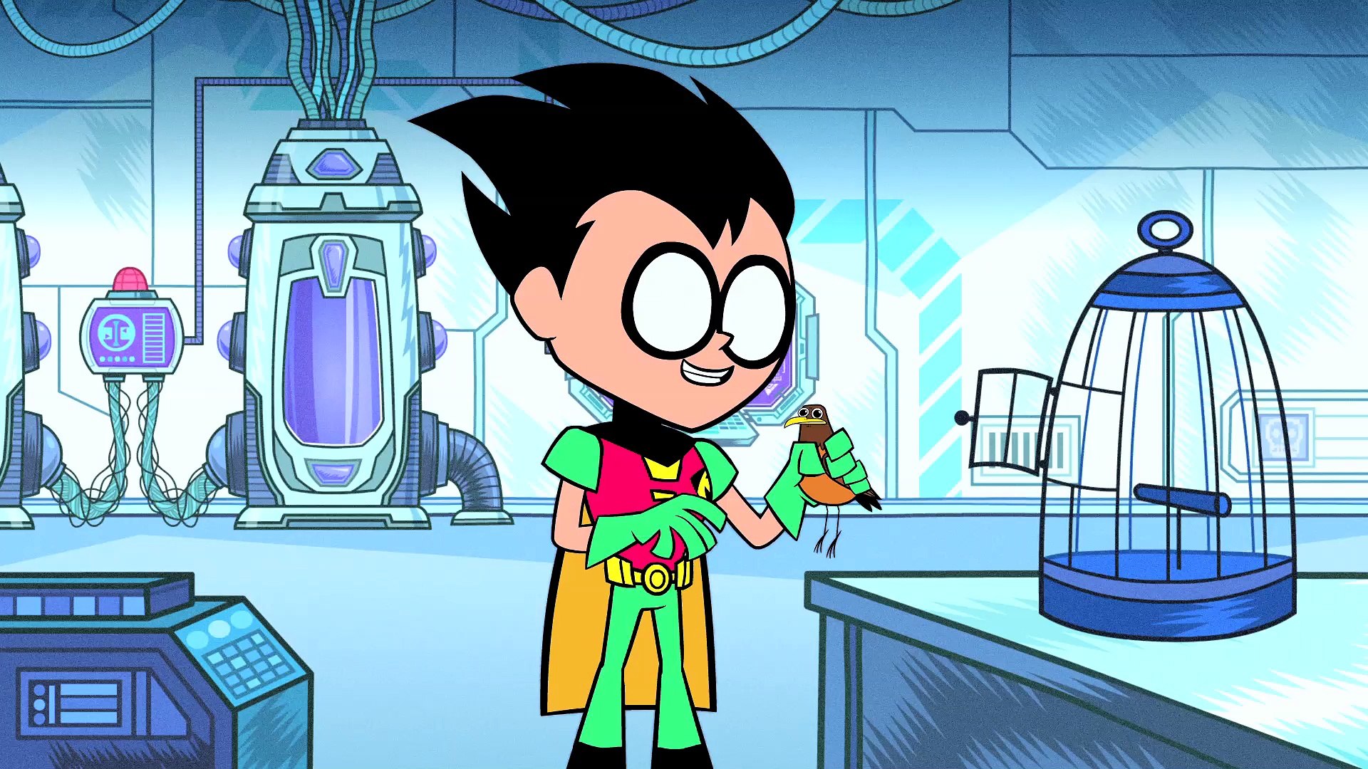 Teen Titans Go Super Robin