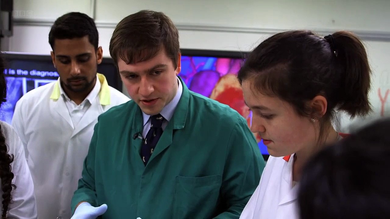 Documentary - The Beauty of Anatomy 3of5 Grays Anatom - Dailymotion Video