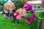 Barney & Friends: Stop! Go! (Season 7, Episode 6) - video Dailymotion