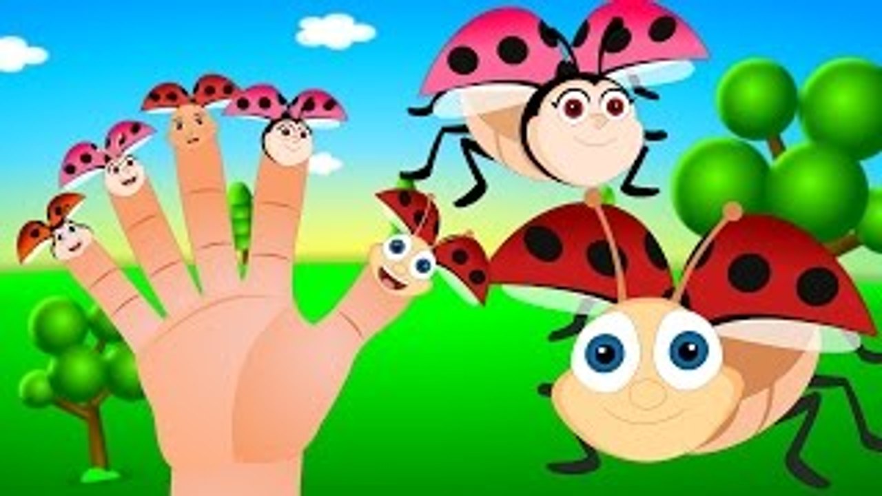 Finger Family Ladybug Family Nursery Rhyme | Animal Finger Family | Bug ...