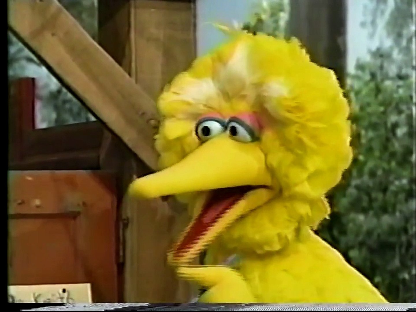 Sesame Street Big Bird Cartoon