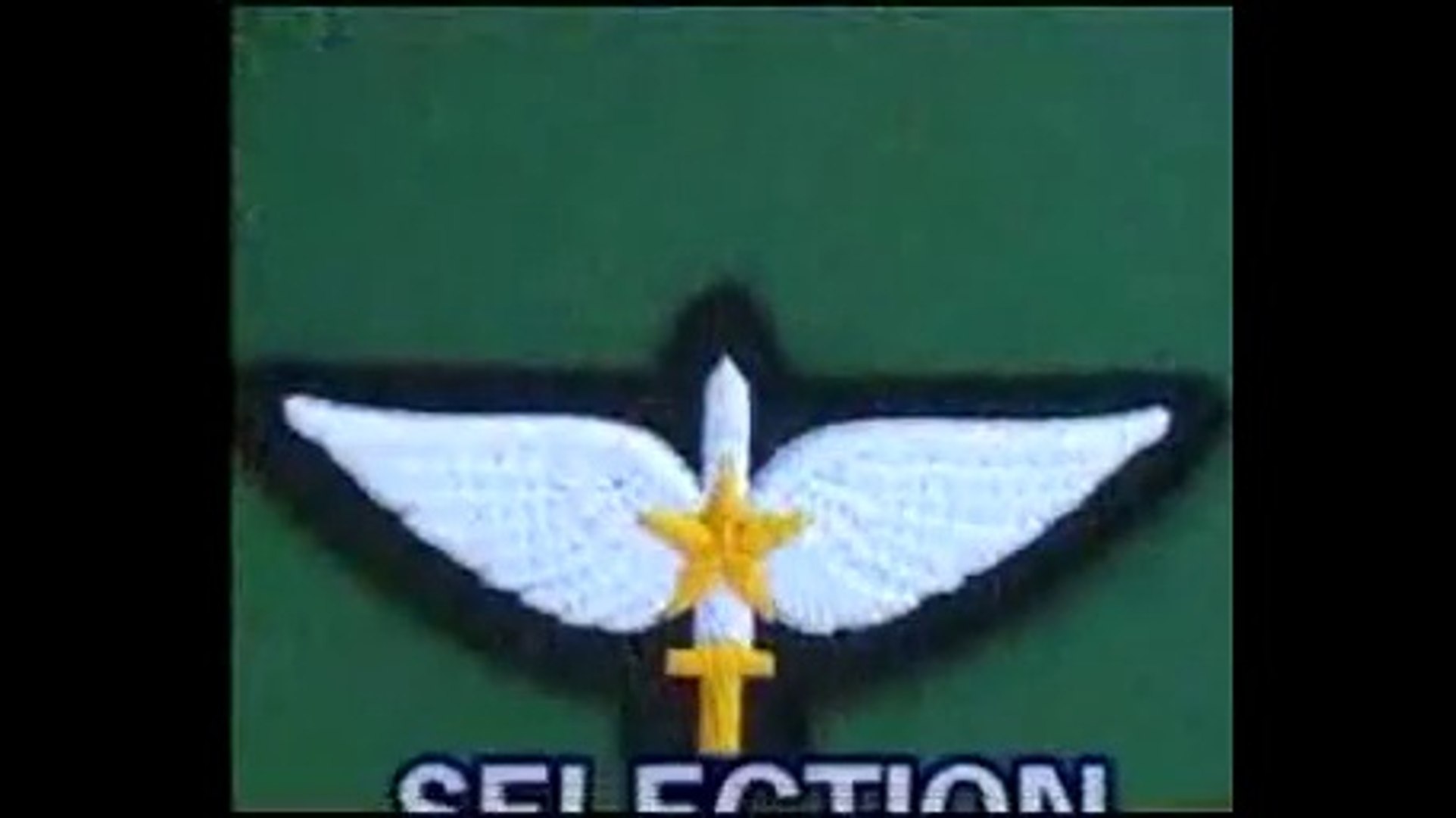 Ssg Pakistan Logo