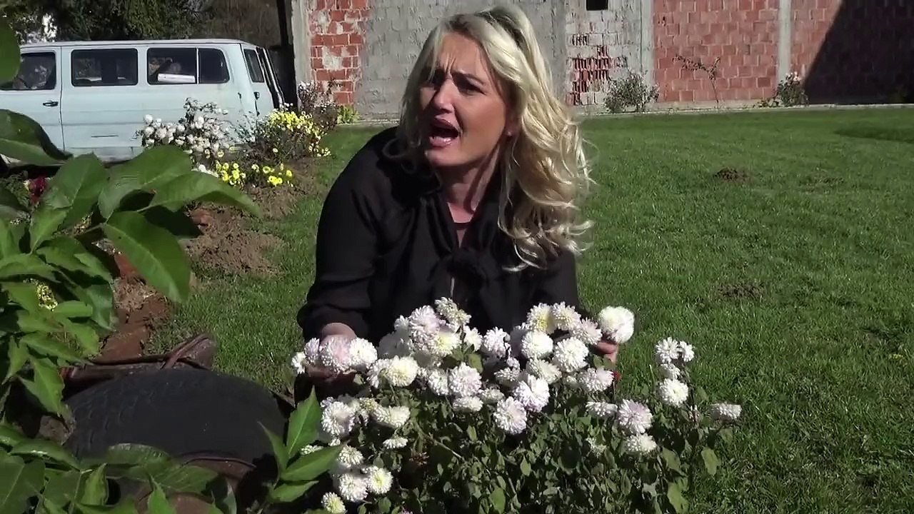 Gëzuar 2016 Cima & Fiza - Drita e kamionit - video Dailymotion