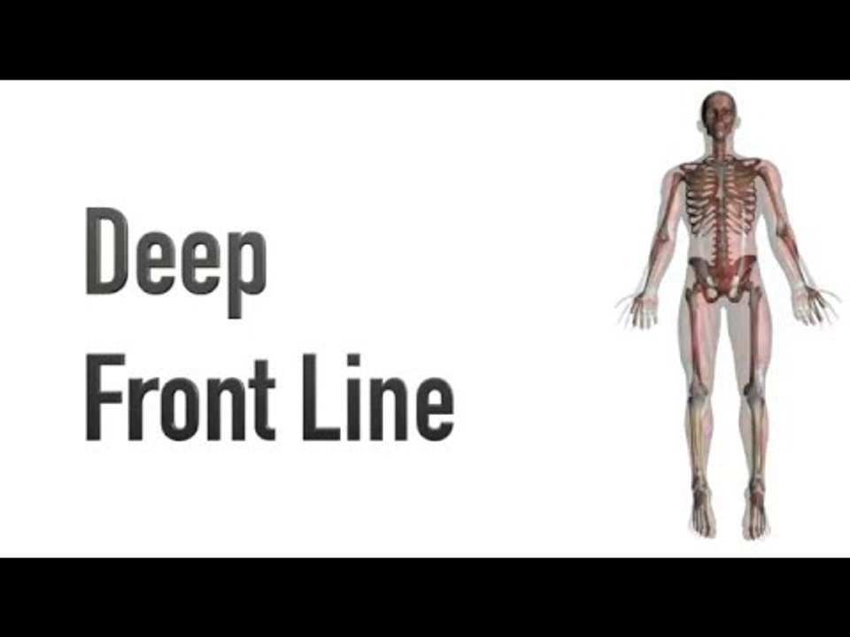 Deep Front Line - Myofascial Meridians - Kinesiology Quiz - video ...