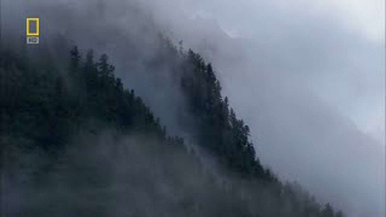 [National Geographic] Wild Russia: Siberia HD (Nature Documentary ...