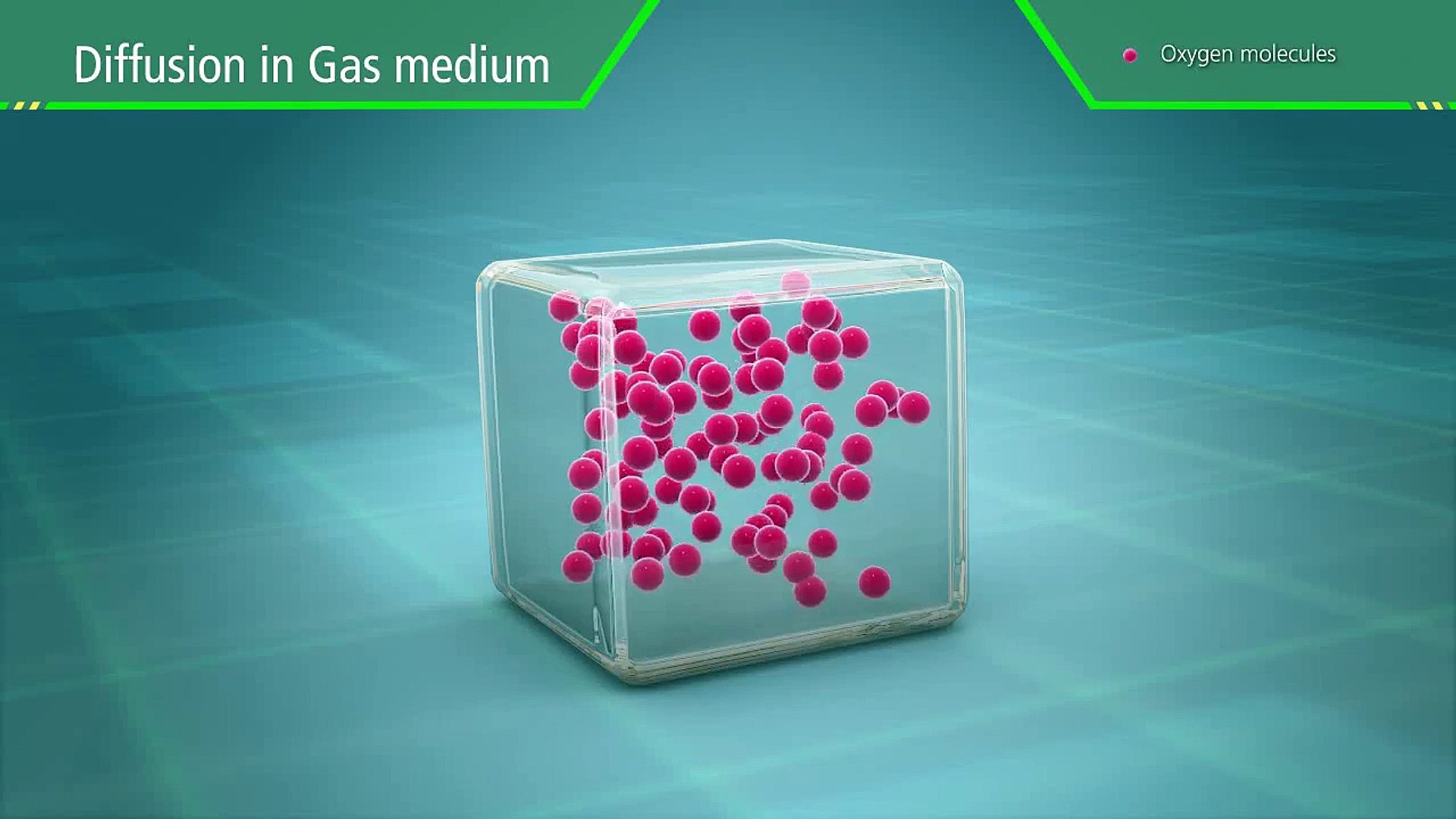 Facilitated Diffusion Animation