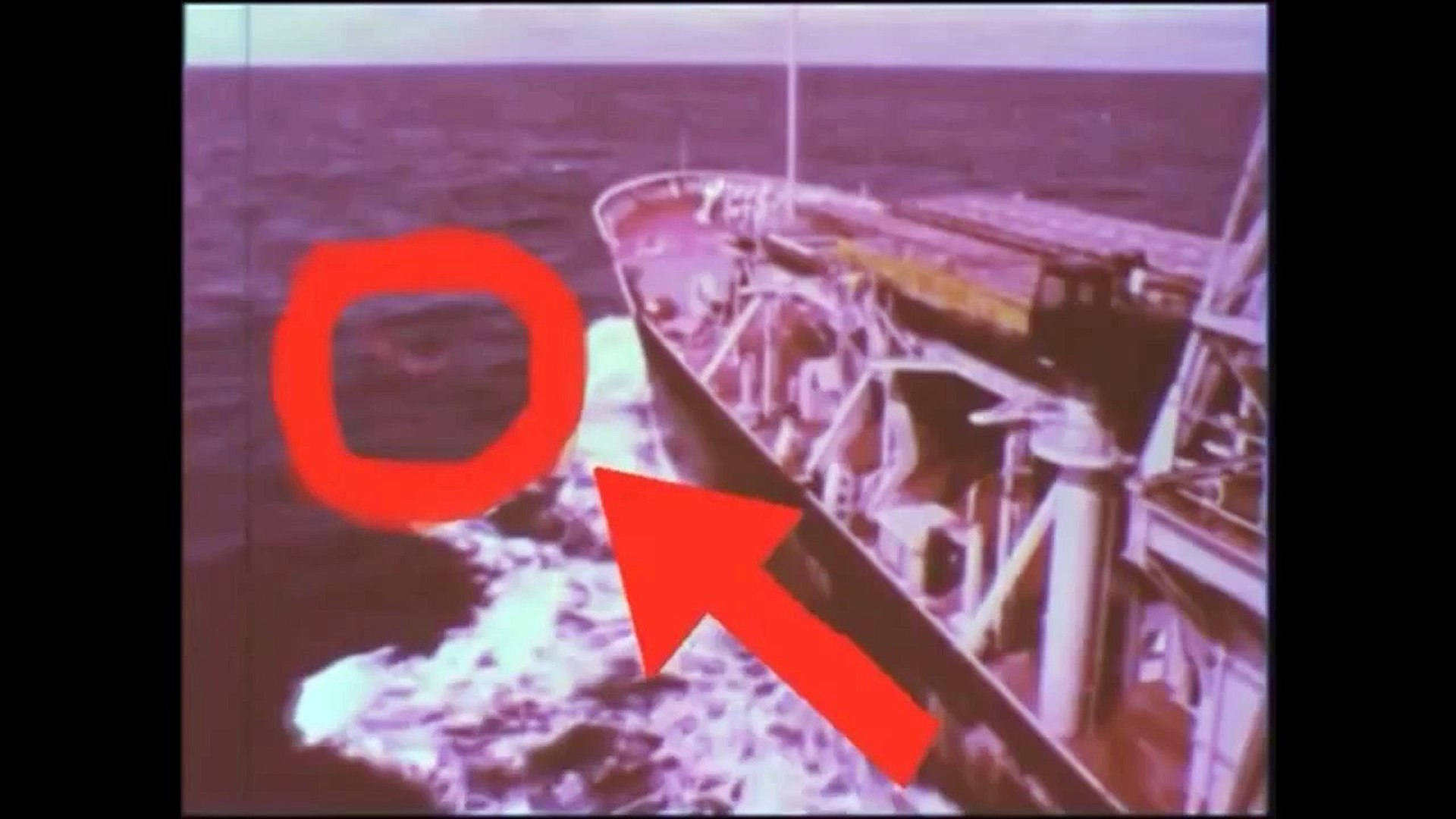 Real Mermaid Sightings In Israel Are Mermaids Real? Tales From Around