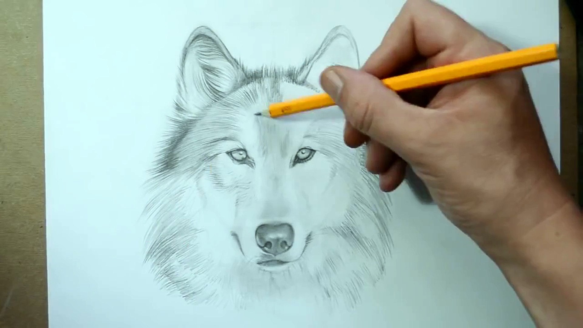 How To Draw A Wolf Head Video