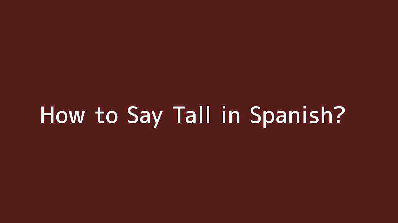 How to say Tall in Spanish - Vidéo Dailymotion