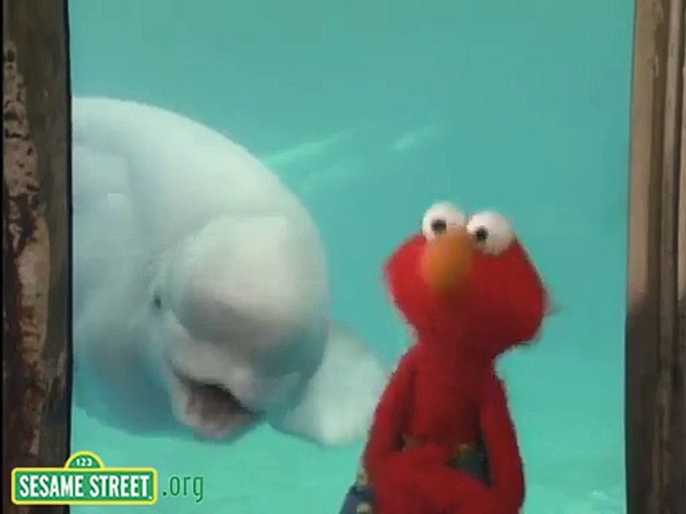 Sesame Street Elmo and Whale Love – Видео Dailymotion