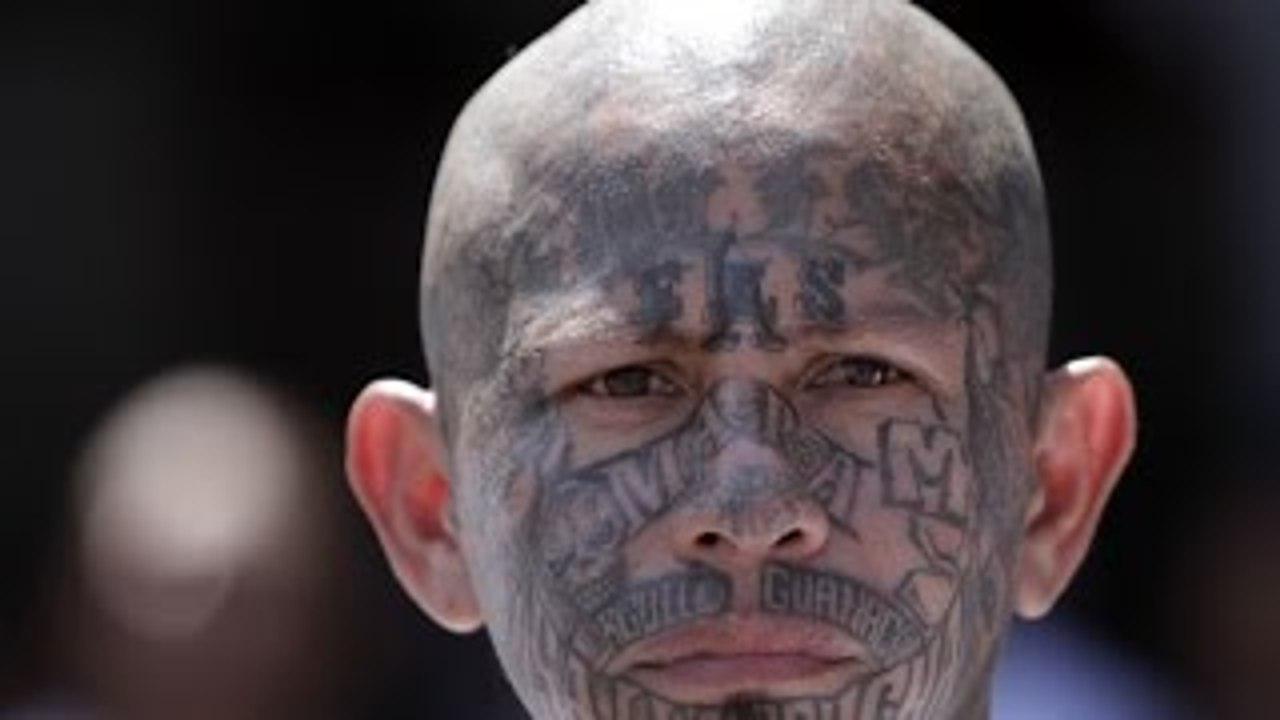 Mara Salvatrucha 13 Documentary - Dailymotion Video