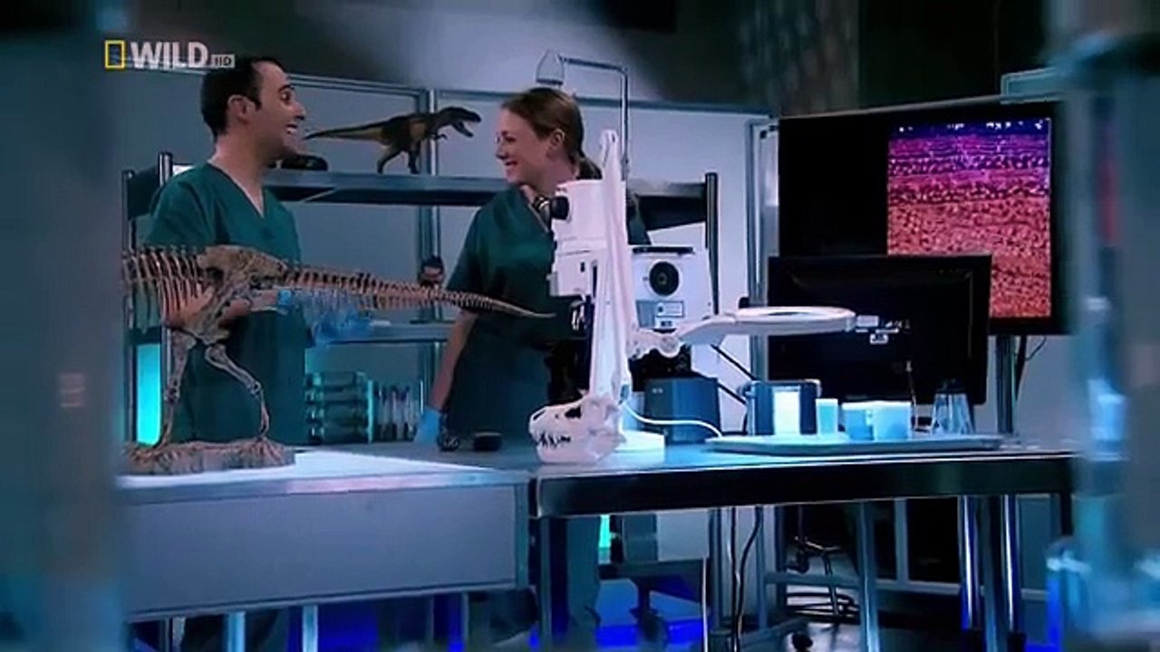 Dinosaur Documentary: T-Rex Autopsy - Dailymotion Video