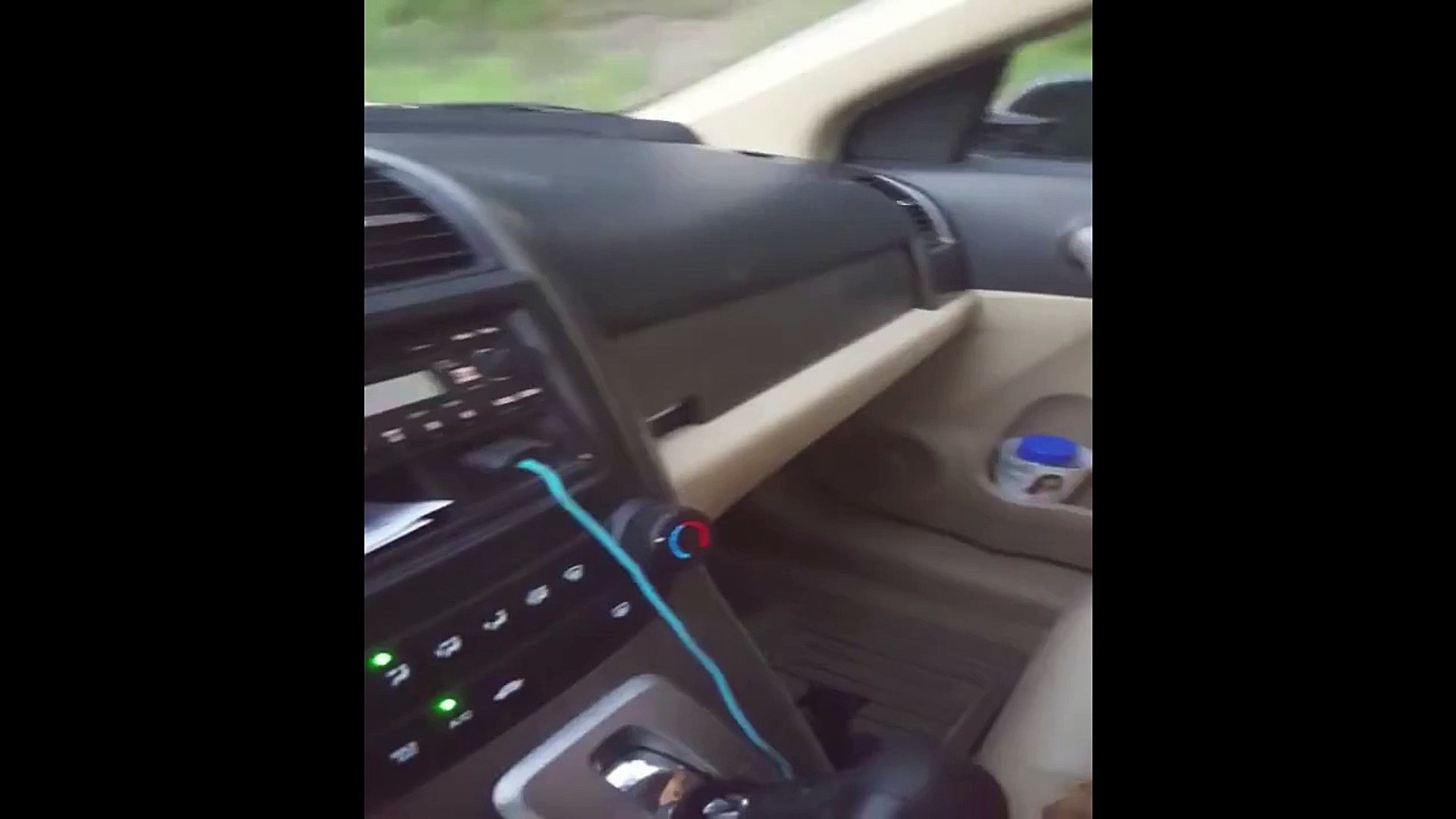 Why Does My Dog Always Poop In The Car