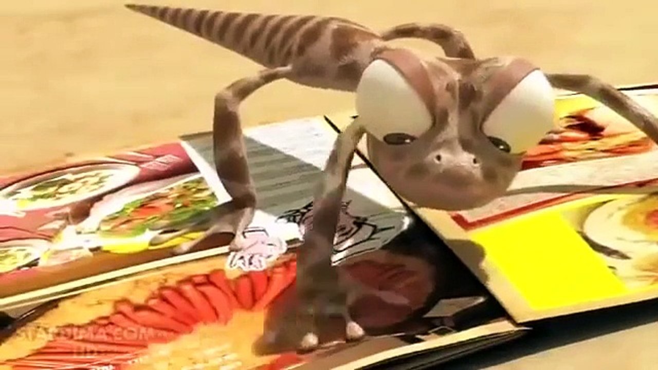 Oscar\'s Oasis Ốc đảo của Oscar Full Movie - Dailymotion Video