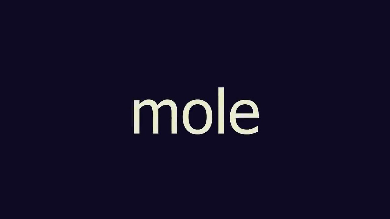 mole meaning and pronunciation - video Dailymotion