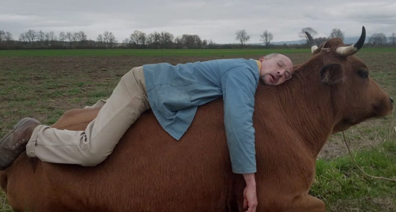 La Vache Full Movie - video Dailymotion