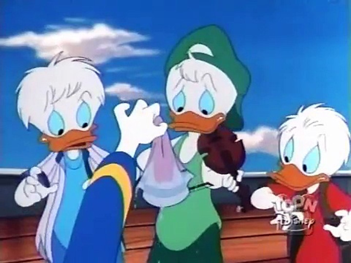Quack Pack Ducks By Nature