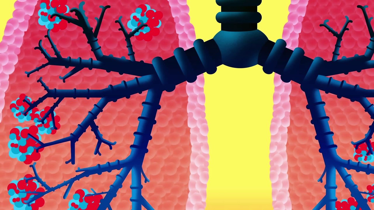 Body Songs- -When You Breathe (Lungs)- by StoryBots - Video Dailymotion