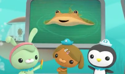 Octonauts videos by KidsTime - dailymotion