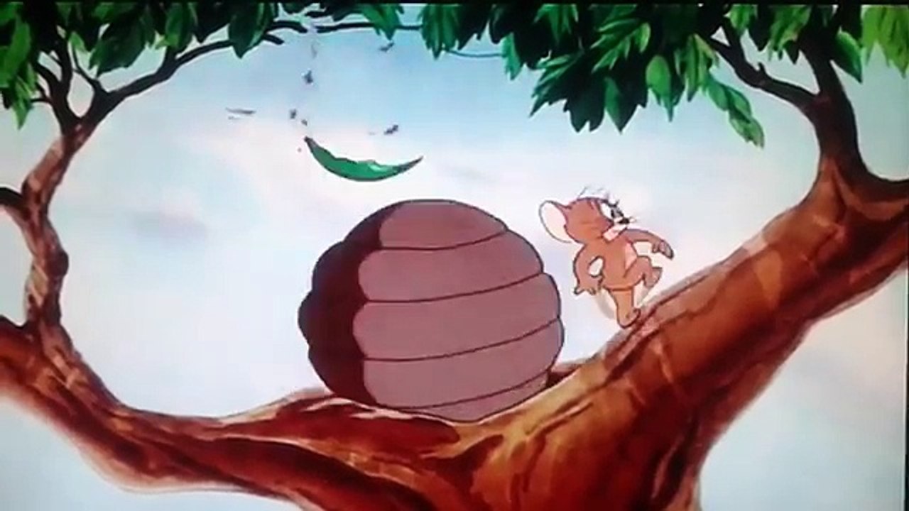 Tom & Jerry | Bees | Comedy Kids (FULL HD) - Dailymotion Video