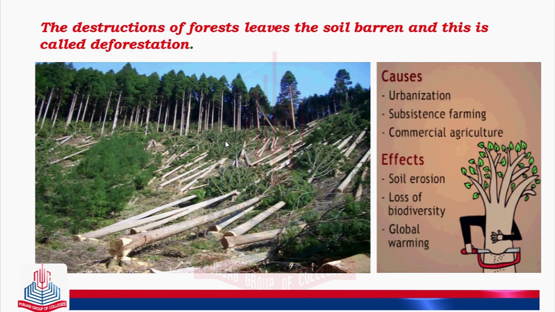 Afforestation And Deforestation