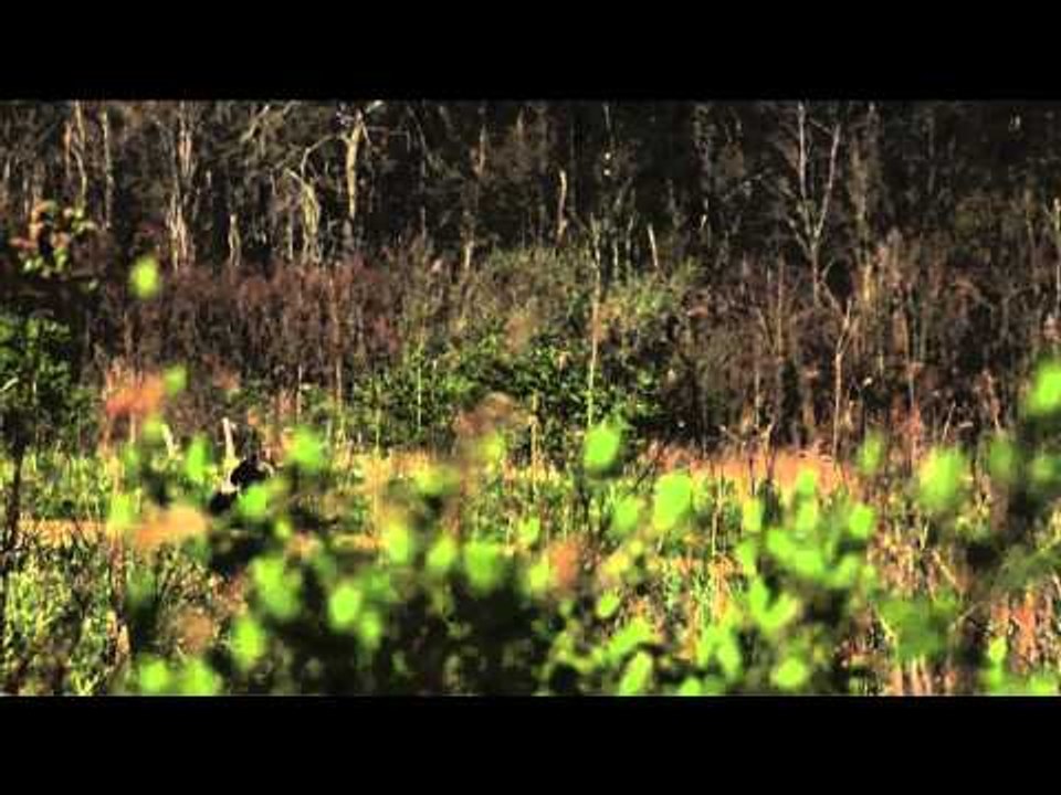 Reaper Outdoors Survive the Hunt - Pennsylvania Turkey Hunt - video ...