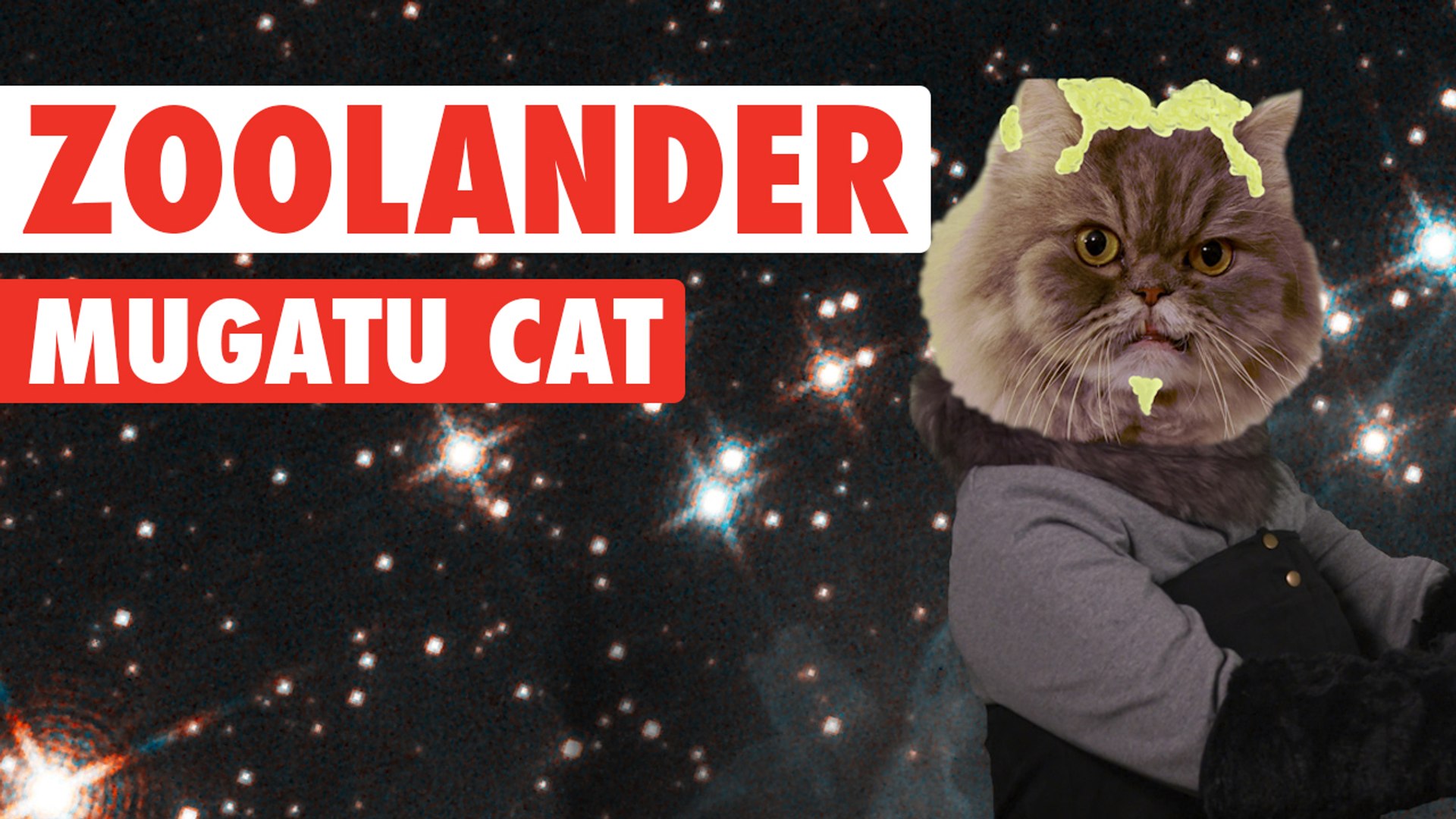 Zoolander Mugatu Dog