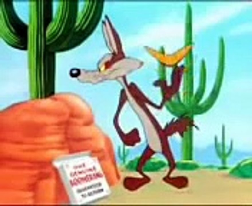 The final of mik mik :roadrunner:Road Runner Cartoon - Dailymotion Video