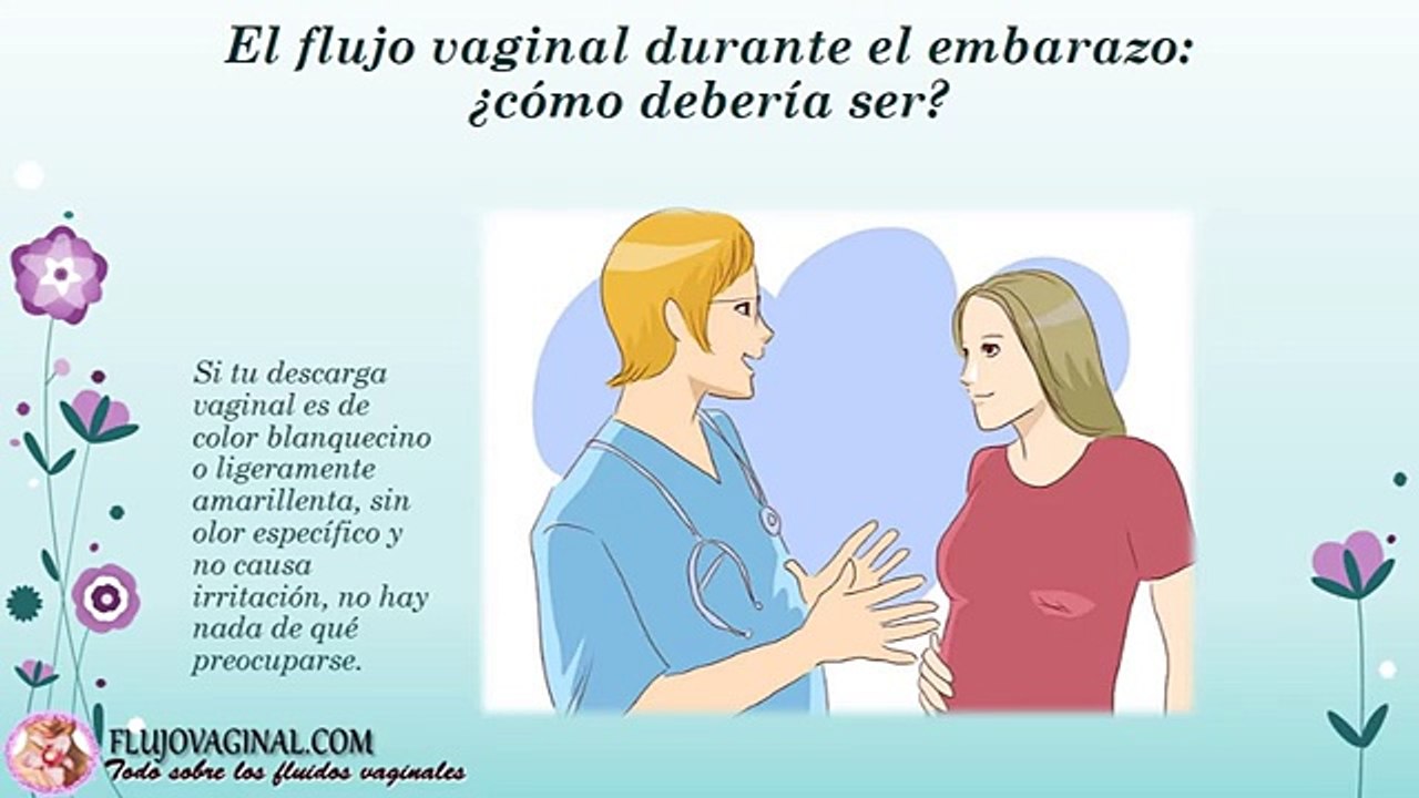El flujo vaginal a principios del embarazo: 4 tipos principales de ...