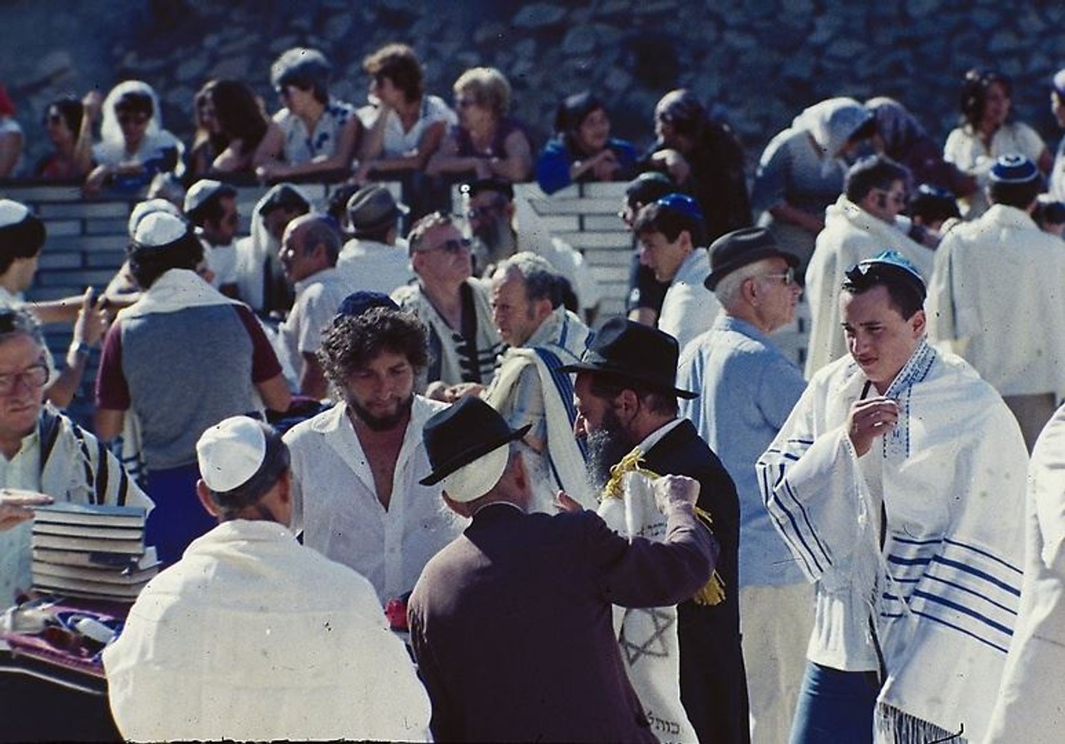 Maria Dylan Himmelman