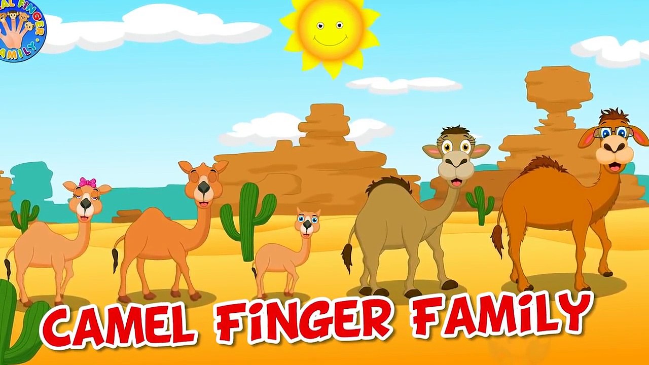 Animals Cartoons Finger Family | Animals Finger Family Rhymes for ...