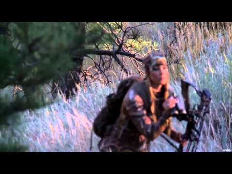 Into High Country - Montana Highcountry Moose - video Dailymotion