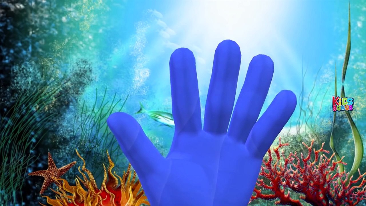 Sea Animals Finger Family Nursery Rhymes | Killer Whale Shark & Dolphin ...