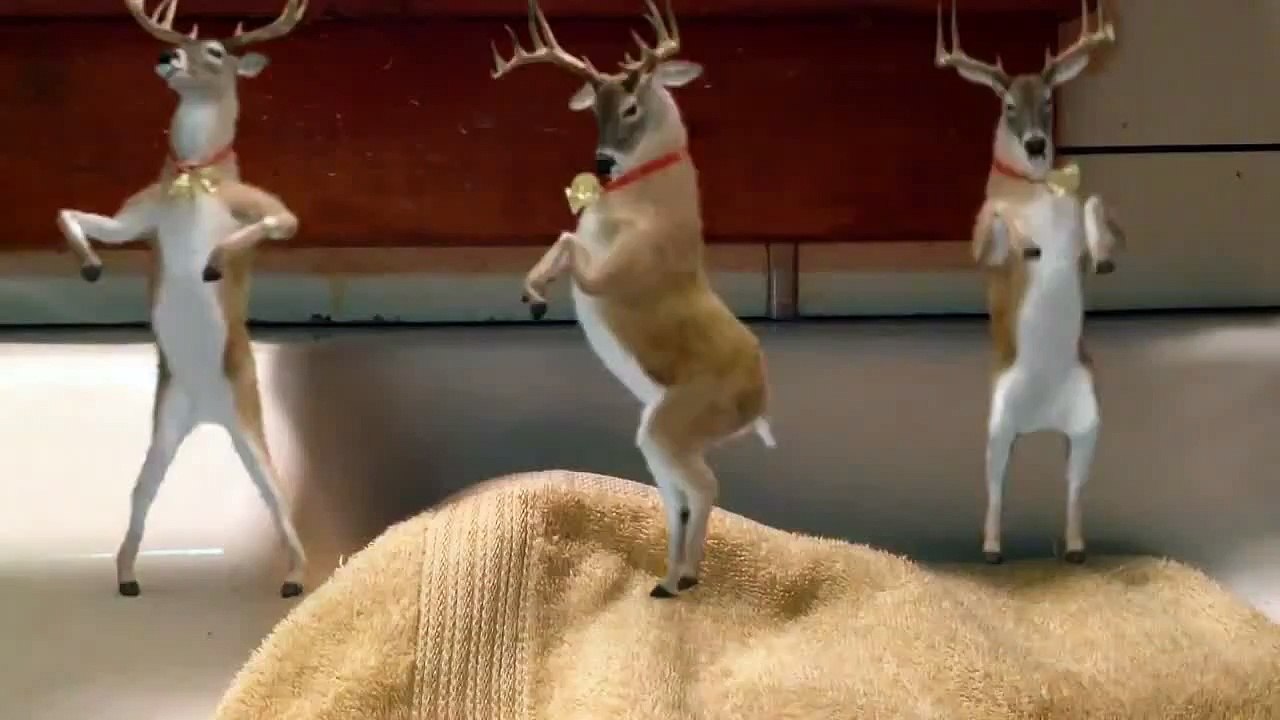 Christmas Reindeer Dancing FXGURU App - Vidéo Dailymotion