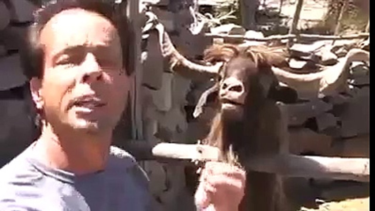Very funny a man argues with spitting goat - OMG VIDEO - video Dailymotion