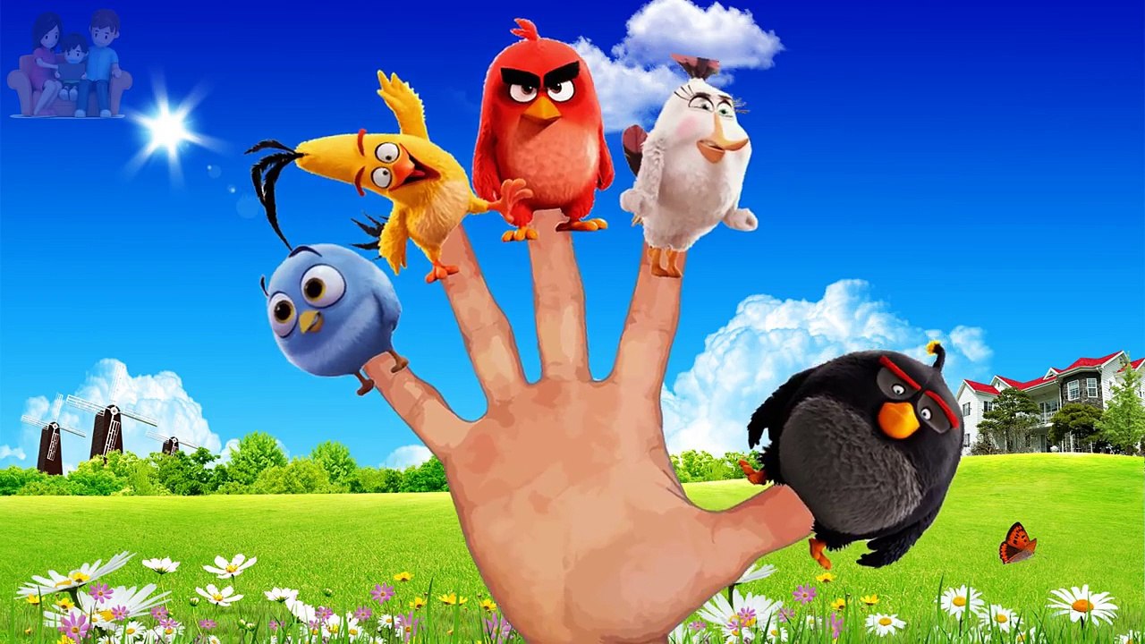 Angry Birds Movie | Finger Family nursery rhyme - Dailymotion Video